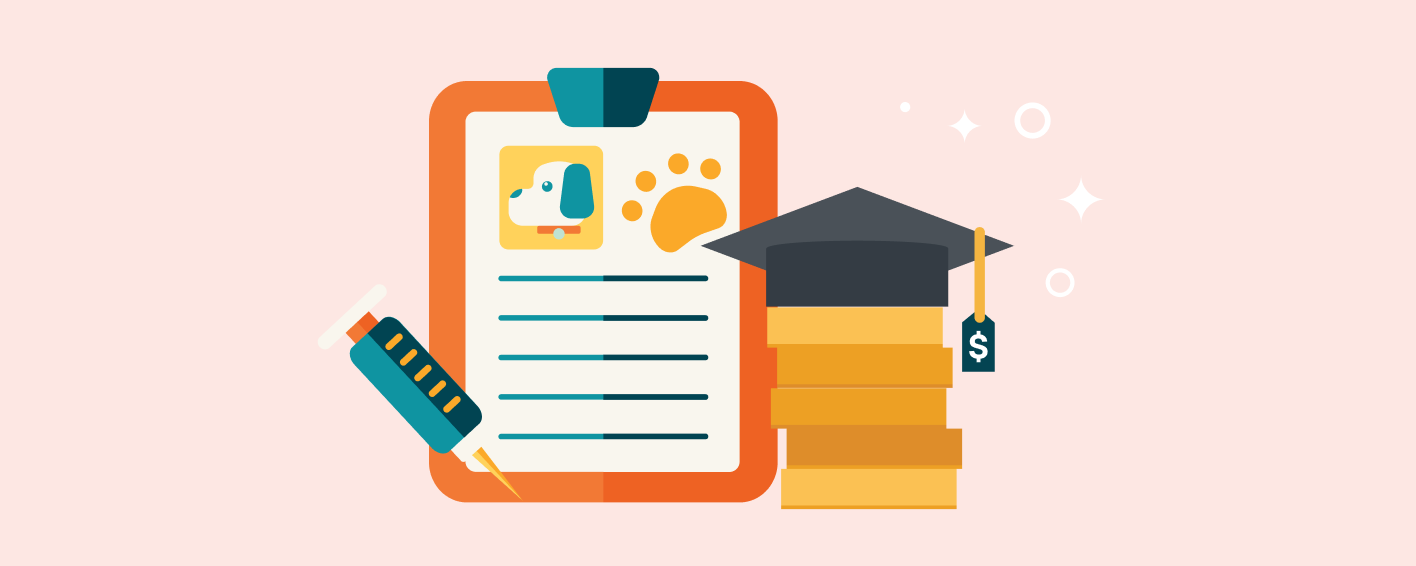 How Much Is Vet School GSA